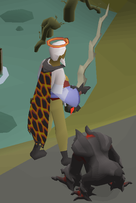 ⭐Max Pure⭐ Infernal Cape ⭐ Max House ⭐ Fang Kit⭐ JAD TRANSMOG PET ⭐ ...